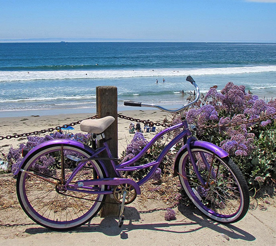 Beachside San Diego Hotel with Pool | Pacific Shores Inn